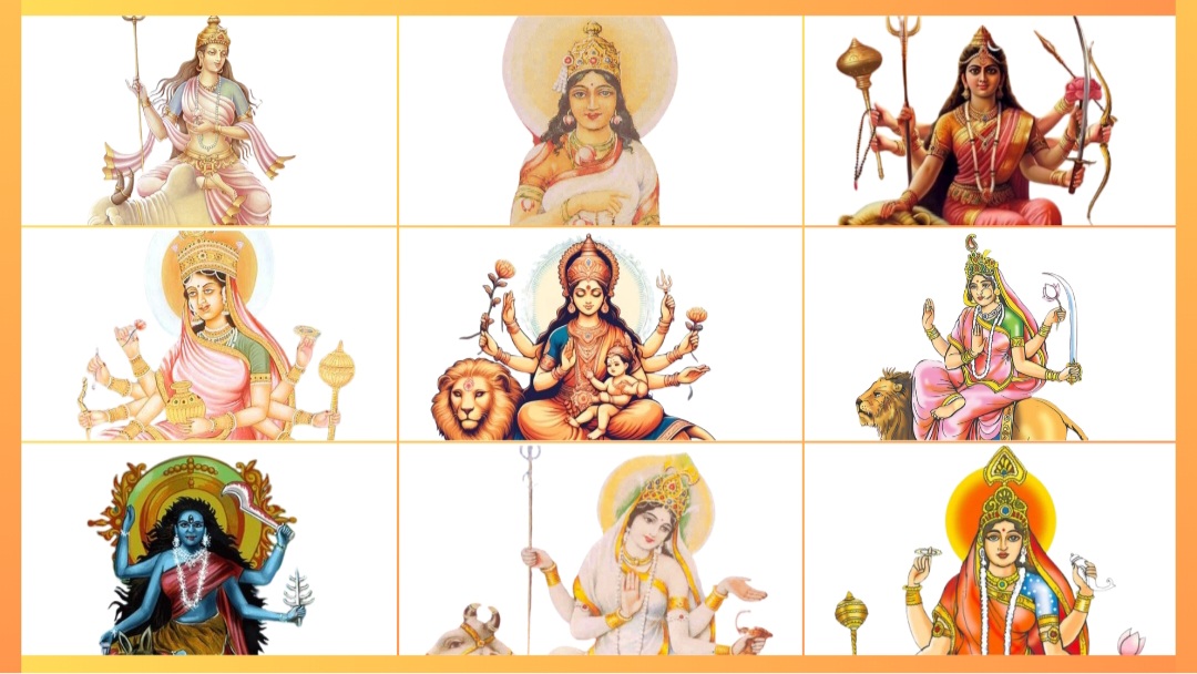 What is the Ayurvedic significance of these nine medicines known as the ...